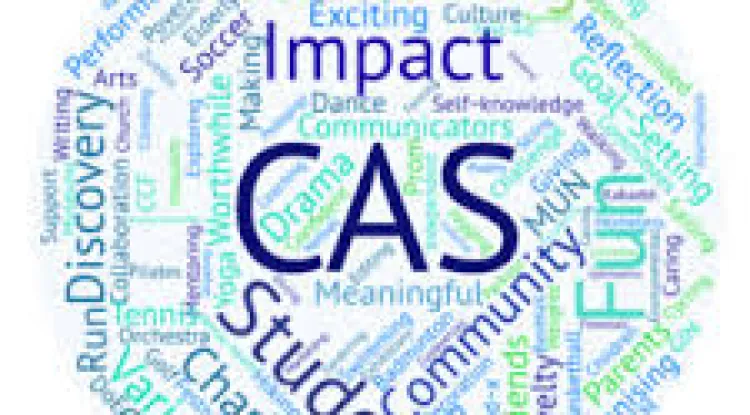 Khám phá chương trình CAS (Creativity, Activity, Service) trong hệ ...